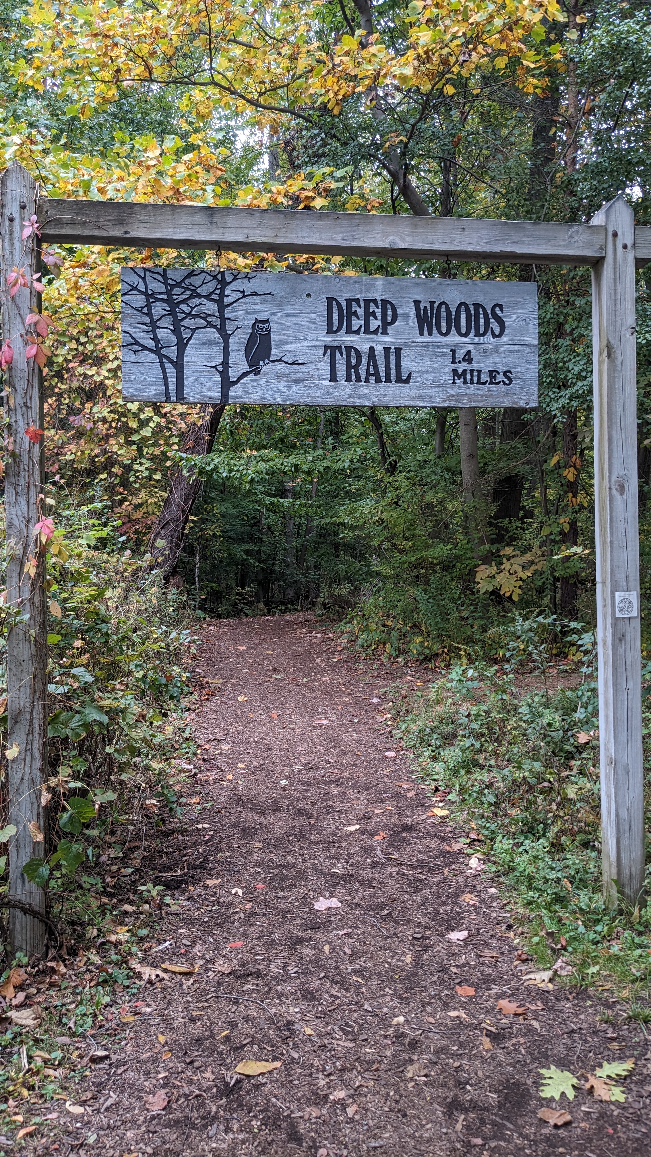 Beaver Lake Nature Center: Deep Woods Trail – a.k.a. V.J.