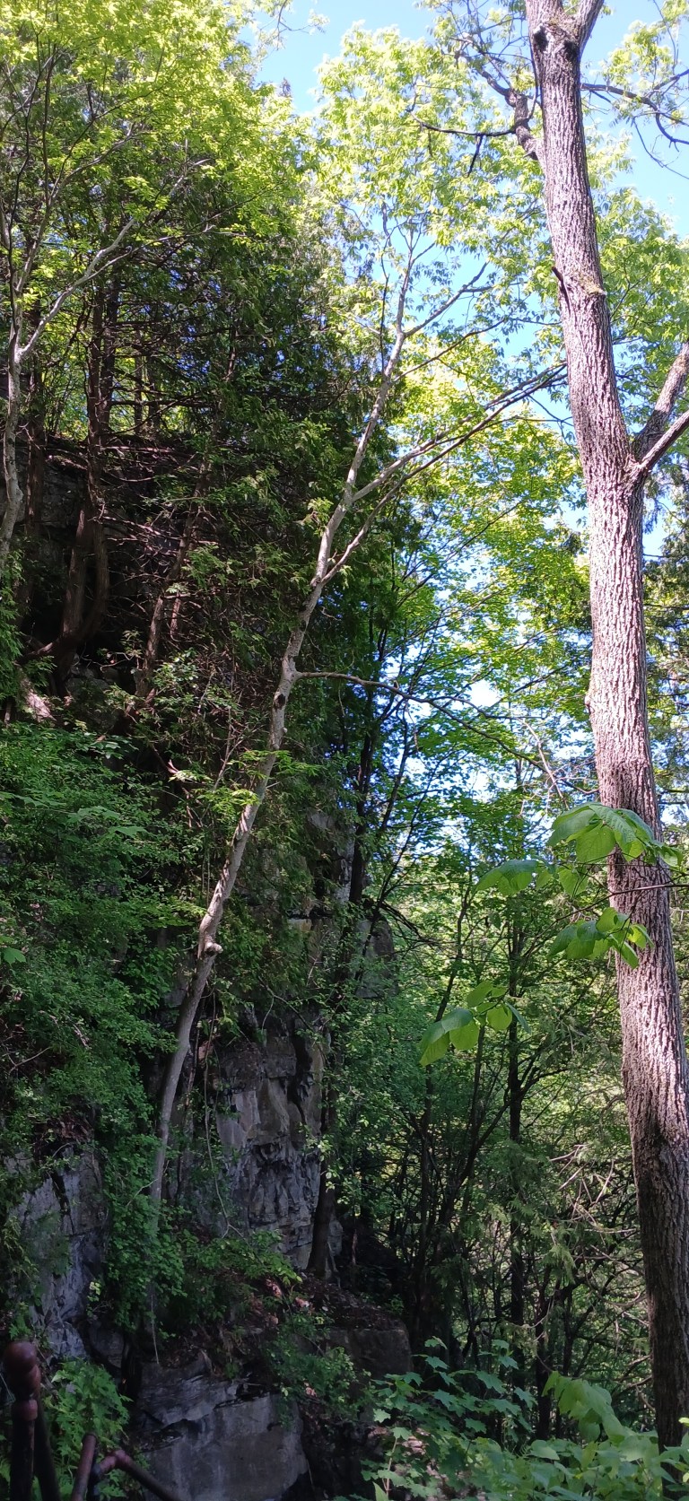 Clark Reservation State Park – a.k.a. V.J.